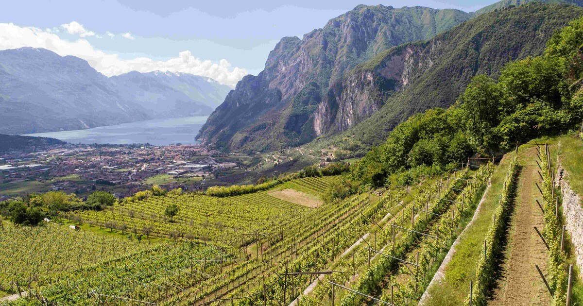 Selezione Italia mit Bio-Dynamic Natural Wines | gast.at